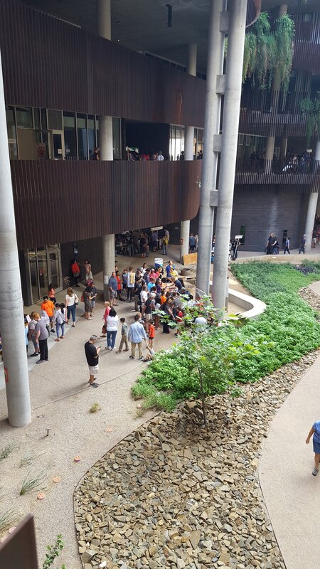 Arizona Insect Festival