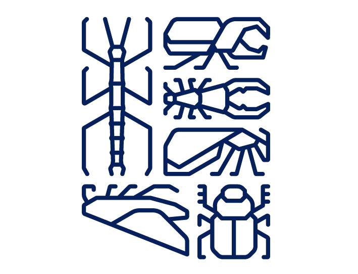 Arizona Insect Festival