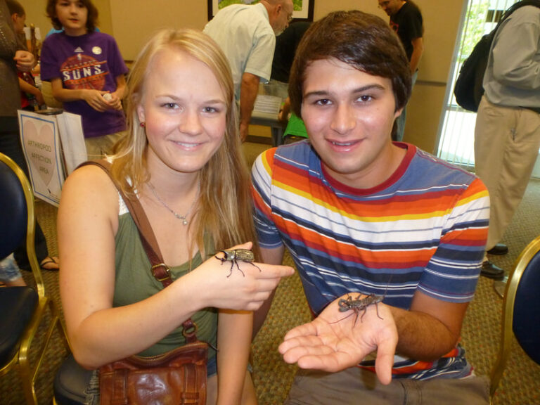 Arizona Insect Festival