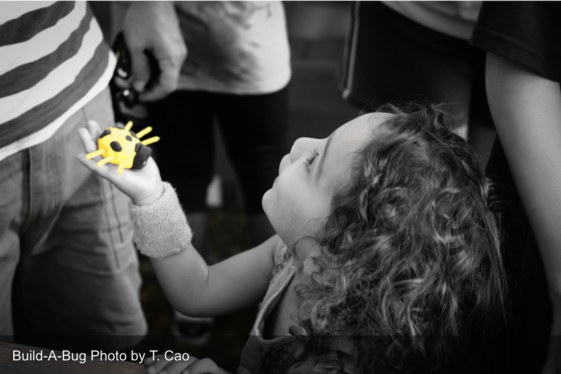 Booths – Arizona Insect Festival