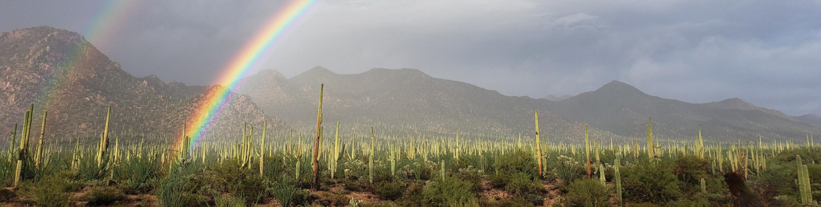Booths – Arizona Insect Festival