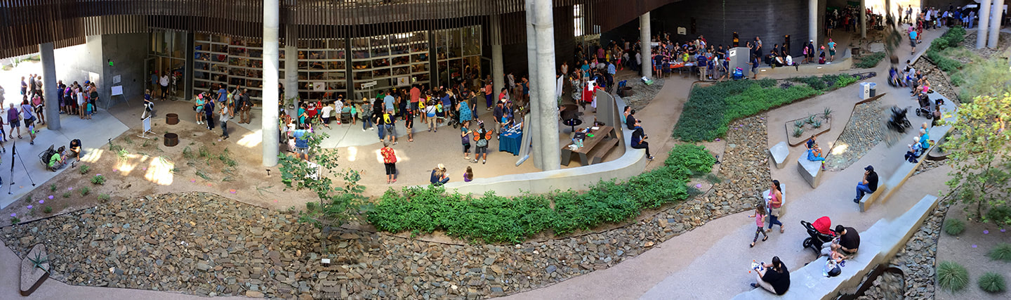 About – Arizona Insect Festival